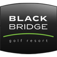 Bryson - Presentation of one and only web application that is able to ...